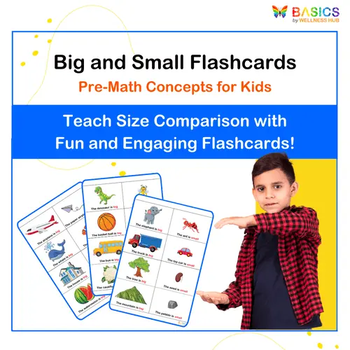 Big and Small Flashcards: Pre-Math Concepts for Kids