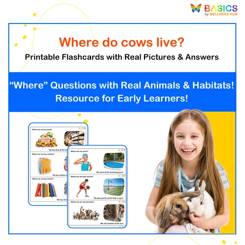 Where Questions in Nature – Animal Habitats Flashcards for Kids